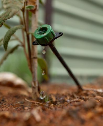 Common irrigation issues and how to fix them